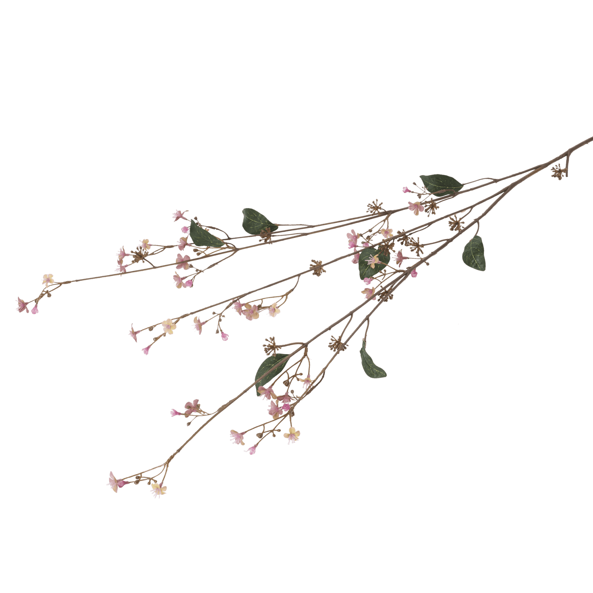 Wax Stem Maya - Blooms By Samuel Baker